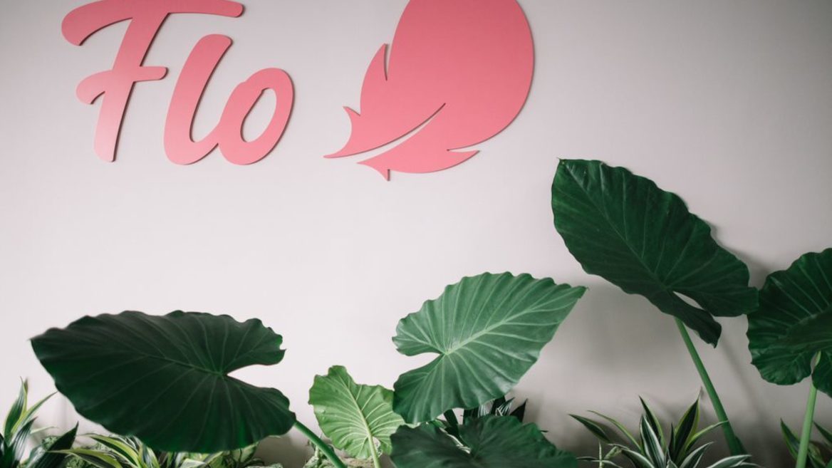 Глобальный штат Flo вырос до 500 человек | dev.by